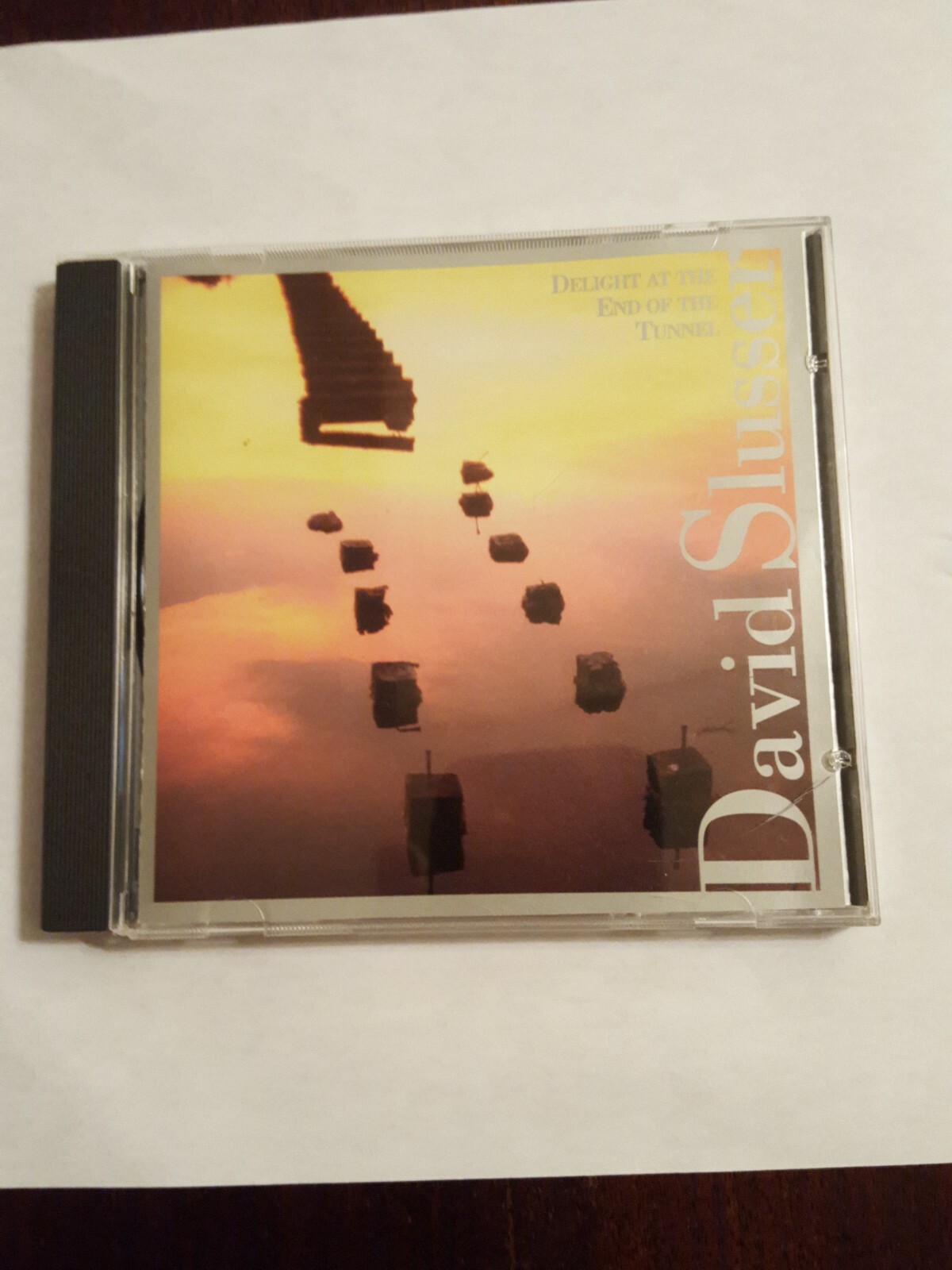 David Slusser 1997 CD Delight At The End Of The Tunnel Chris Ackerman ...
