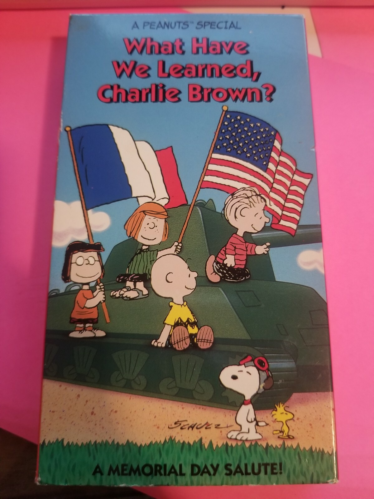 WHAT HAVE WE LEARNED CHARLIE BROWN VHS 1993 Peanuts Memorial Day RARE WHAT HAVE WE LEARNED CHARLIE BROWN VHS 1993 Peanuts Memorial Day RARE