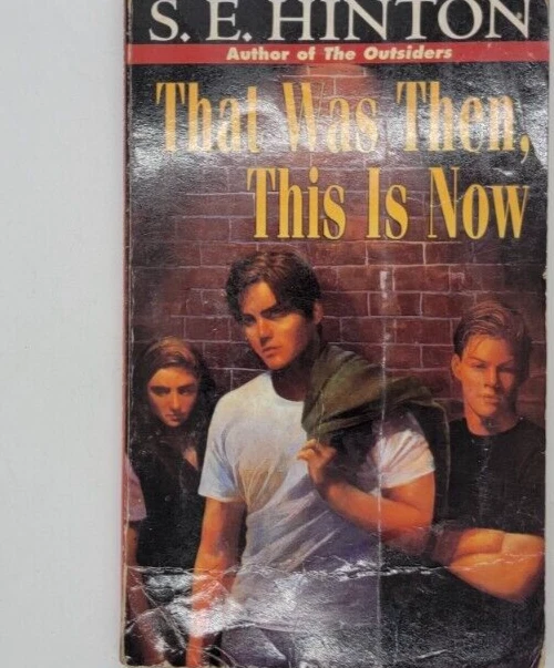 That Was Then This Is Now Book Cover
