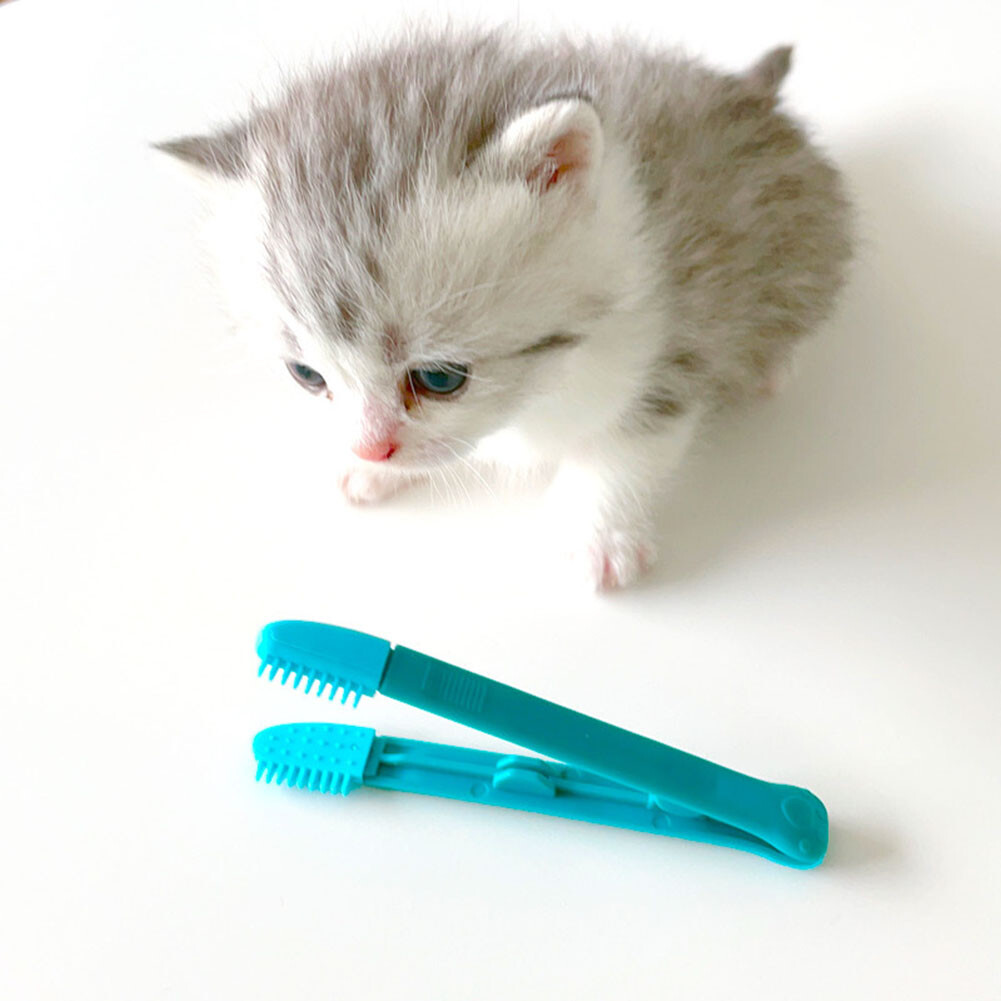 Cat Eye Comb Reusable Handheld Cat Eye Wipe Rub Brush for Small Cat Dog ...