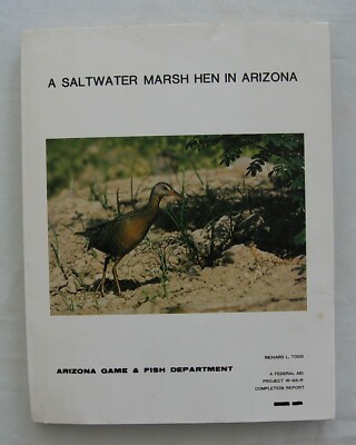 A Saltwater Marsh Hen in Arizona Bird Watching Ornithology Yuma Clapper ...