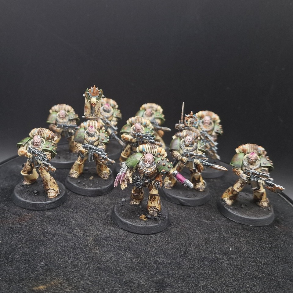 Pro Painted Warhammer 40k Death guard marines ×10 W2 games workshop HH ...