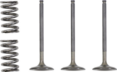 PROX 28.SIS2424-2 VALVE AND SPRING INTAKE KIT YAMAHA YFZ 450 R 2013 | eBay