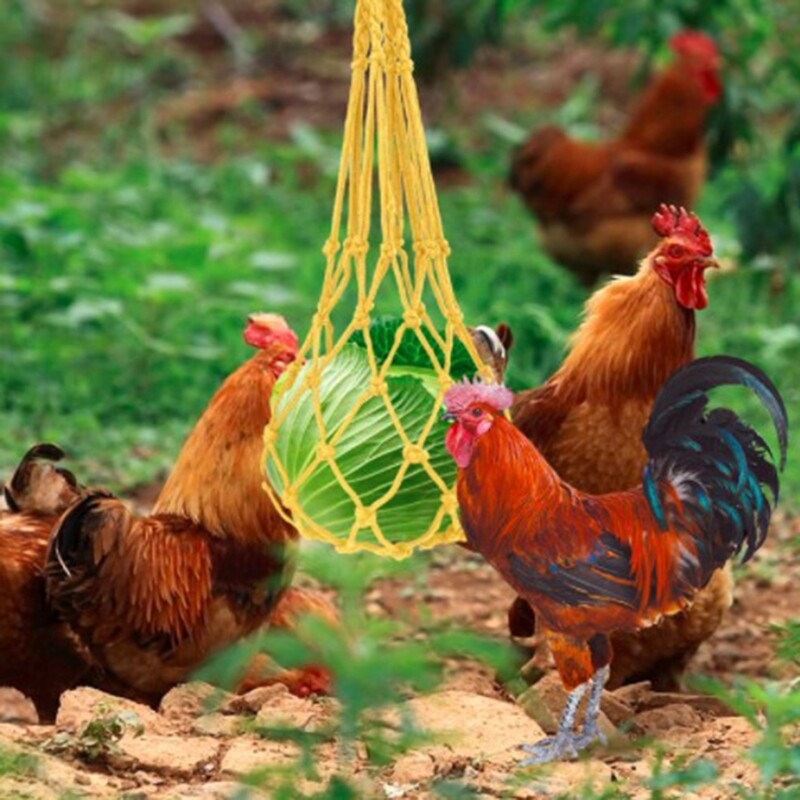 Chicken Vegetable Net Bag Fruit Treat Holder Feeder Coop Feeding f | eBay