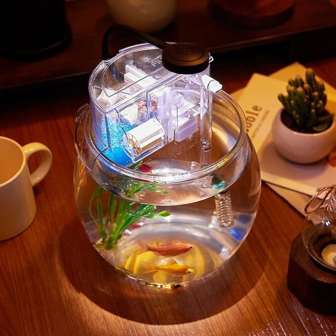 Aquarium Small Fish Tank with Filter and Light Break-Resistant Plastic ...