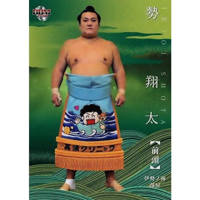 Shota Sei BBM 2018 Sumo Card Rikishi Regular 36 Duty Paid or Reimbursed ...