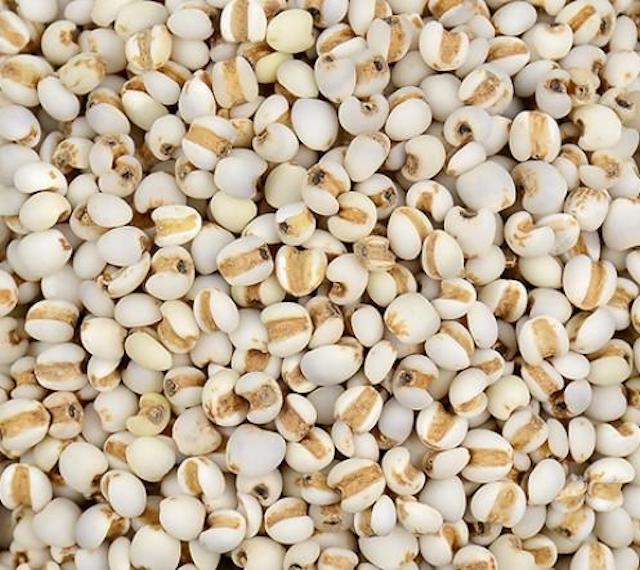 薏米/Job's Tears / Coixseed / 2LB-4LB | eBay