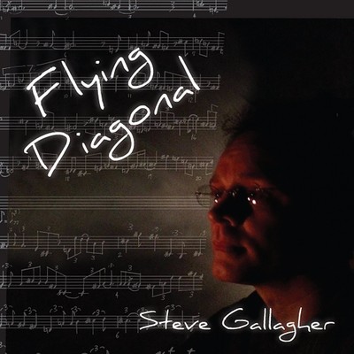 Gallagher Steve Flying Diagonal CD NEUF | eBay