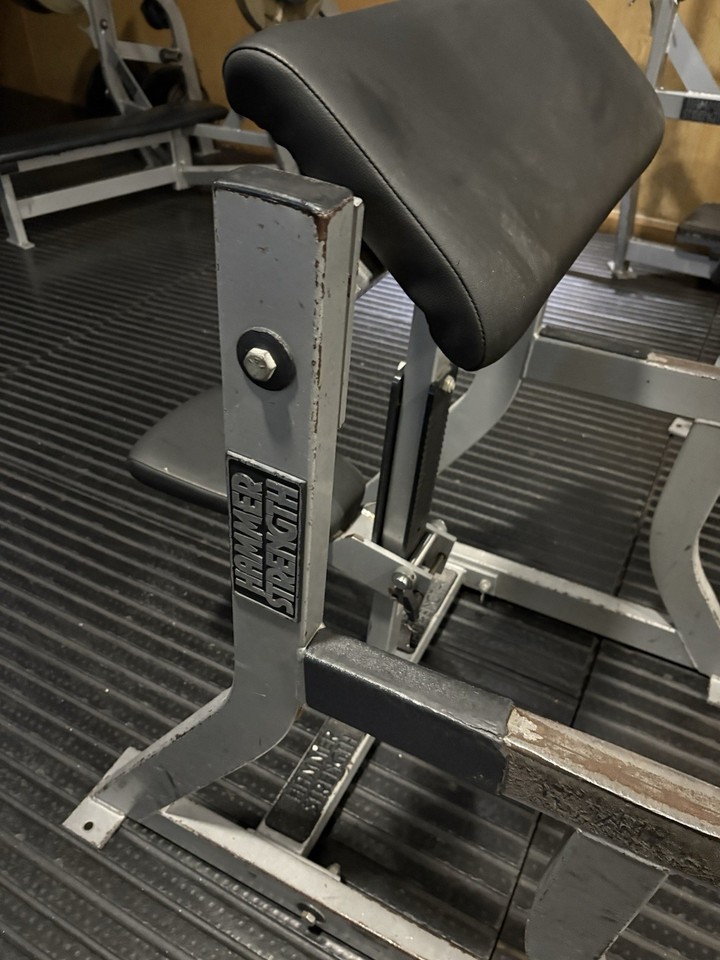 Hammer Strength Preacher Curl Bench | eBay UK