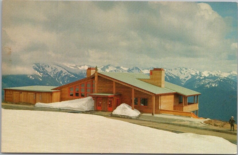 c1960s OLYMPIC NATIONAL PARK Postcard HURRICANE RIDGE LODGE / Panoramic ...