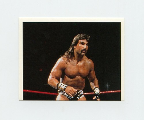 #TN08735 WILDMAN MARC MERO #149 Rare 1997 WWF Panini Sticker/Card | eBay