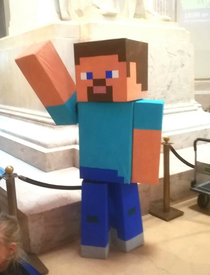 Minecraft Costume Steve Alex Creeper Mario and more! Halloween mascot ...