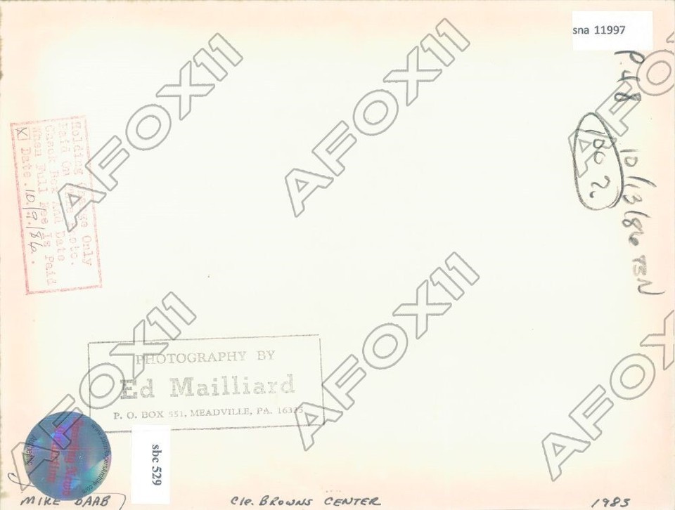 1986 Cleveland Browns Football Player Center Mike Baab Press Photo | eBay