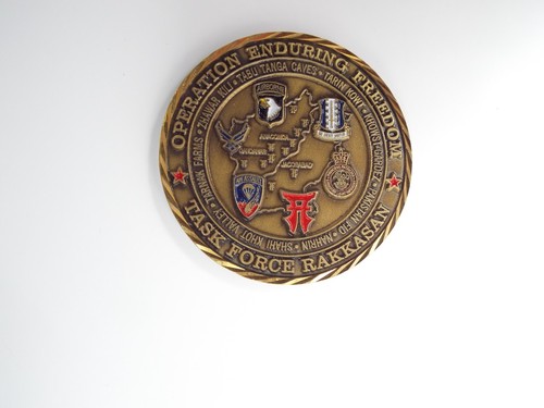 3rd Brigade, 101st Airborne Division Task Force Rakkasan OEF Challenge ...