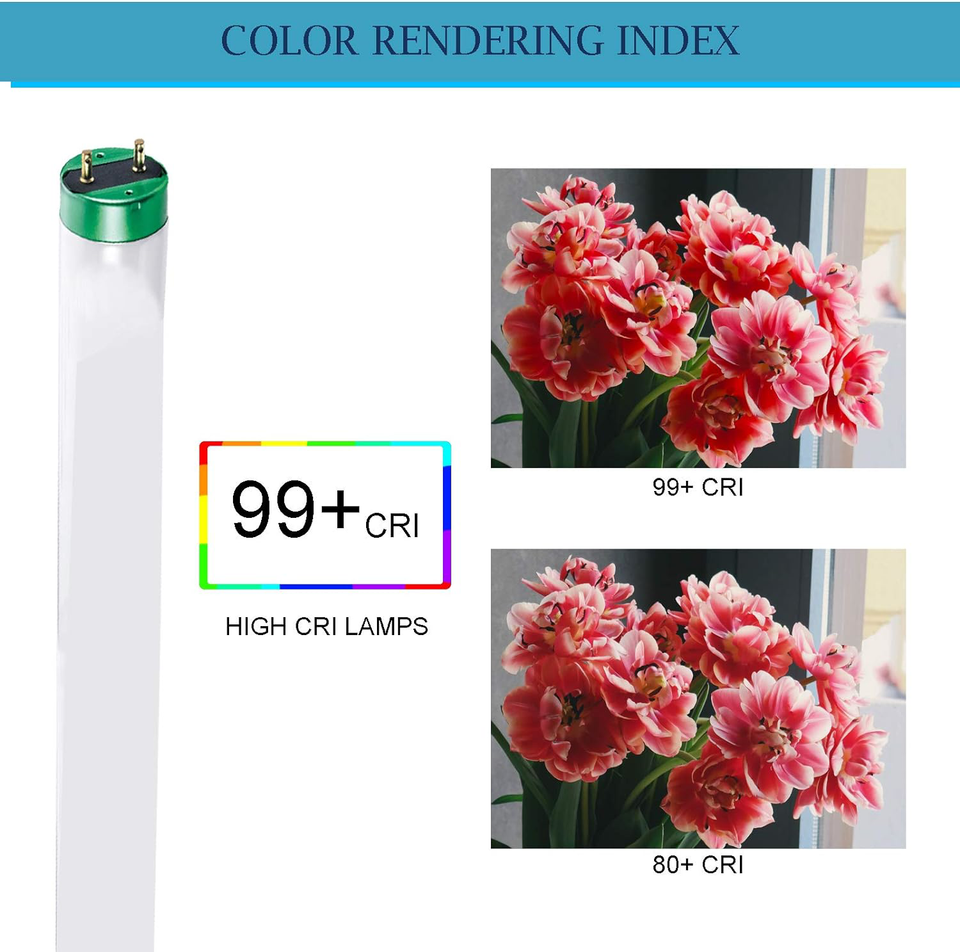 DYSMIO Case of 30 48 inch 32 Watts T8 High CRI Fluorescent Tube Light ...