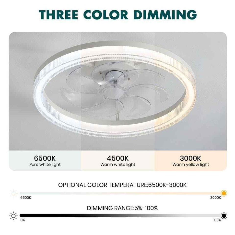 FANNEHONNE 20 in. LED Indoor White Flush Mount Ceiling Fan w/ Light and ...