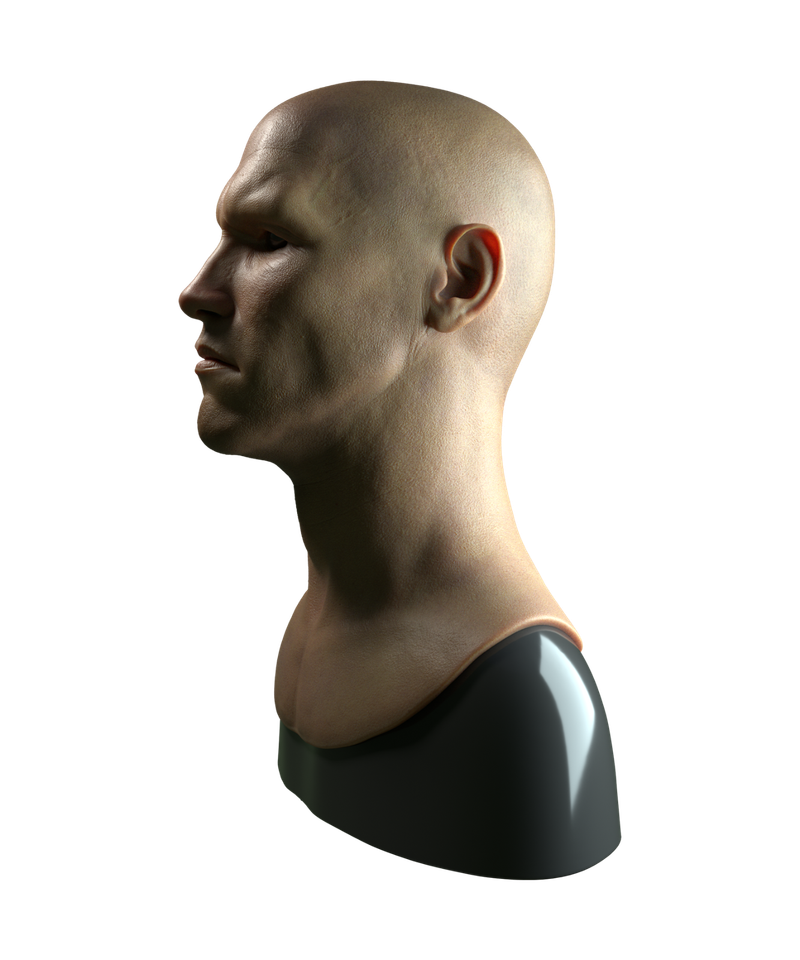 Silicone Mask | Realistic Mask | Man Disguise Mask | SPFX | Evolution ...