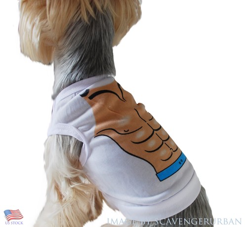 LARGE Muscle Beach T-Shirt Vest Clothes Puppy Swim-wear | eBay