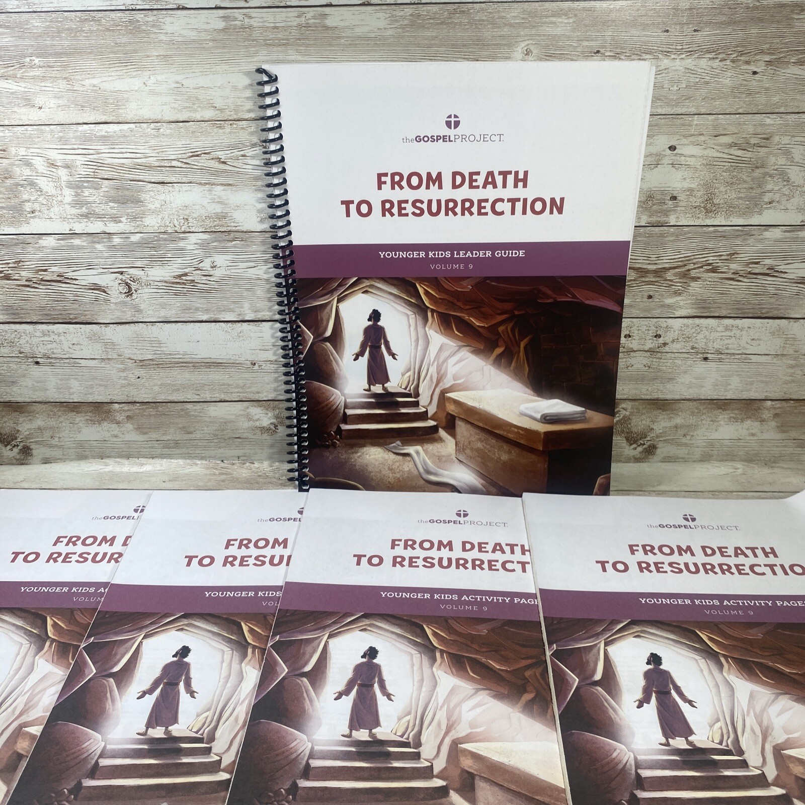 Gospel Project From Death To Resurrection Younger Preschool Leader ...