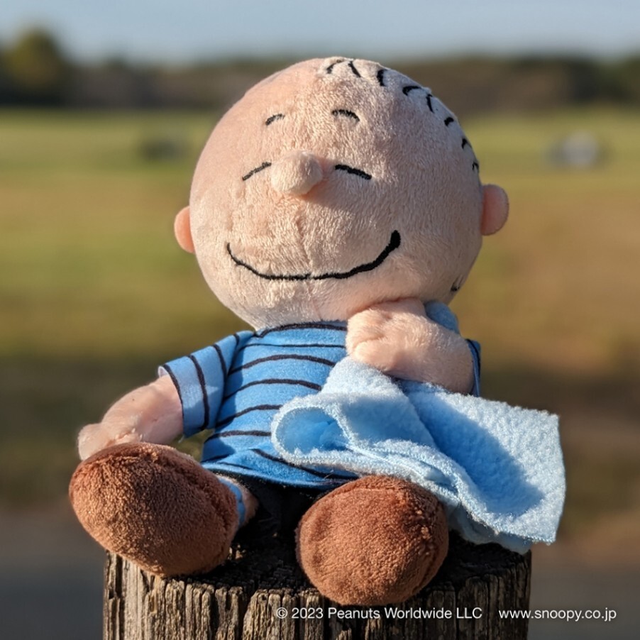 Peanuts Snoopy Friends Bean Doll Linus Plush Japan limited New | eBay