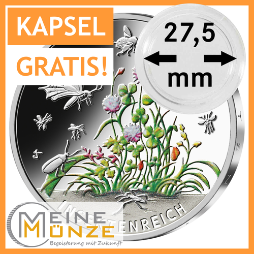 5 Euro Münze "INSEKTENREICH" Deutschland 2022 Wunderwelt Insekten ...