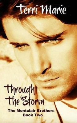 Through the Storm by Terri Marie (English) Paperback Book 9781495419591 ...