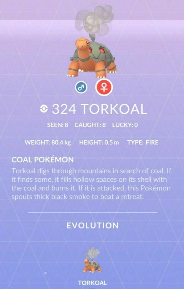 Torkoal Pre Evolution