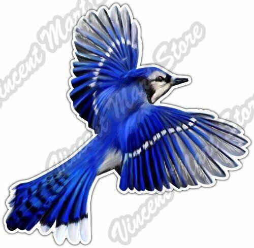 Blue Jay Flight Bluejay Bird Birds Wildlife Car Bumper Vinyl Sticker ...