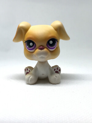 Littlest Pet Shop LPS #451 Tan White Yellow Boxer Dog Purple Eyes ...