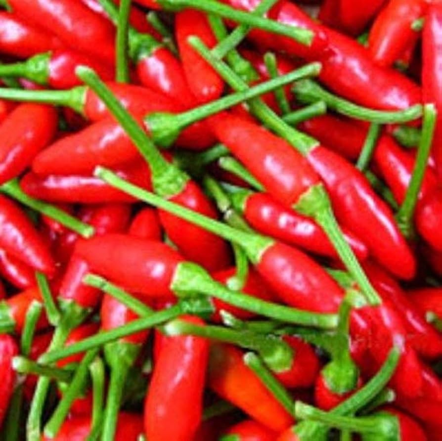 Small Red Chile Hot Pepper, Chile de Árbol, Mild Heat, NON-GMO, FREE ...