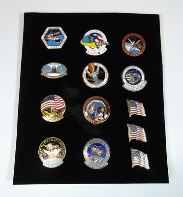 Lot of 10 Official NASA Lapel Enamel Pins Challenger Spacelab + U.S.A ...