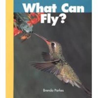 What Can Fly - Paperback By Parkes, Brenda - VERY GOOD 9781567849226| eBay