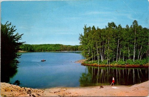 Meredith Michigan MI Blue Lake Postcard | eBay