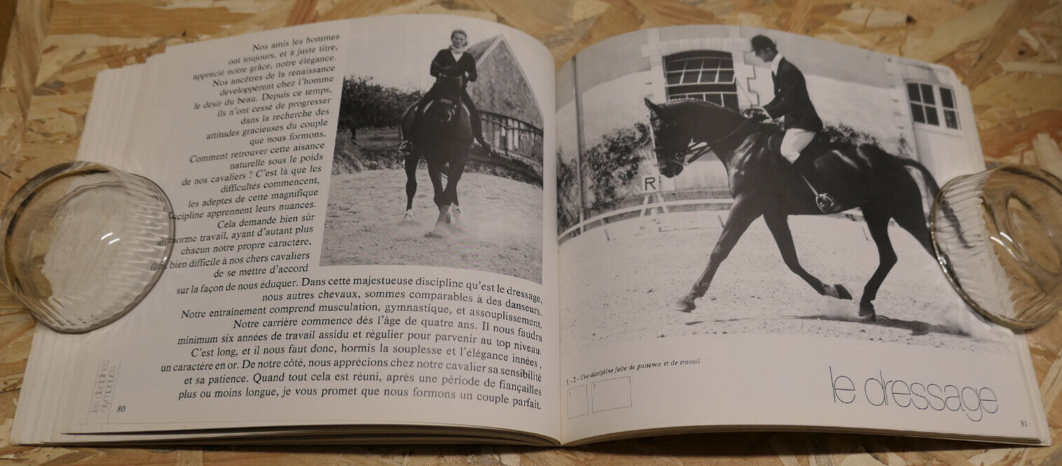 LE CHEVAL EN PAYS D'AUGE / NORMANDIE PHOTOS EQUITATION COURSES ...