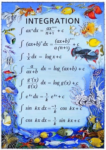 Integration. Senior Maths Poster. Educational Aid. Math Poster. | eBay