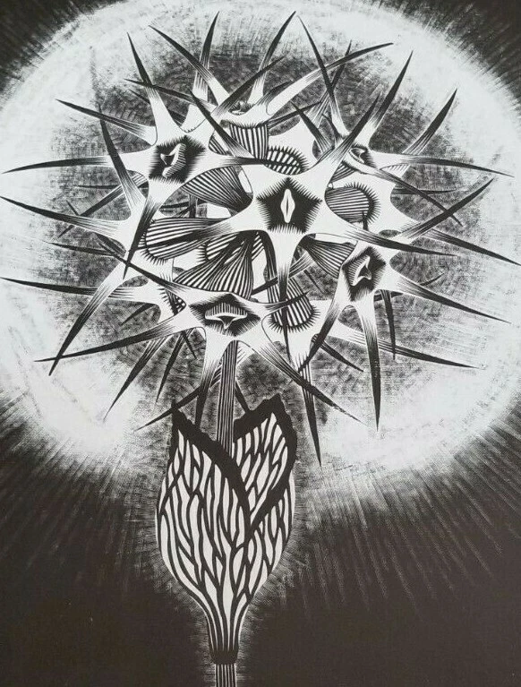 Mc Escher Flower | Best Flower Site