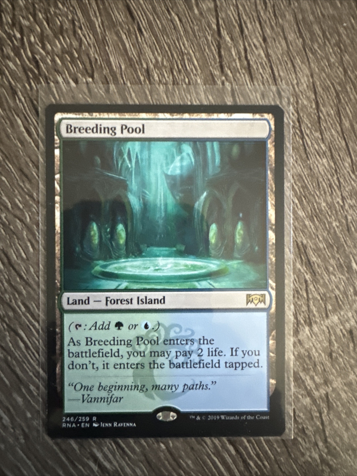 MTG Breeding Pool Ravnica Allegiance 246/259 Regular Rare for sale ...