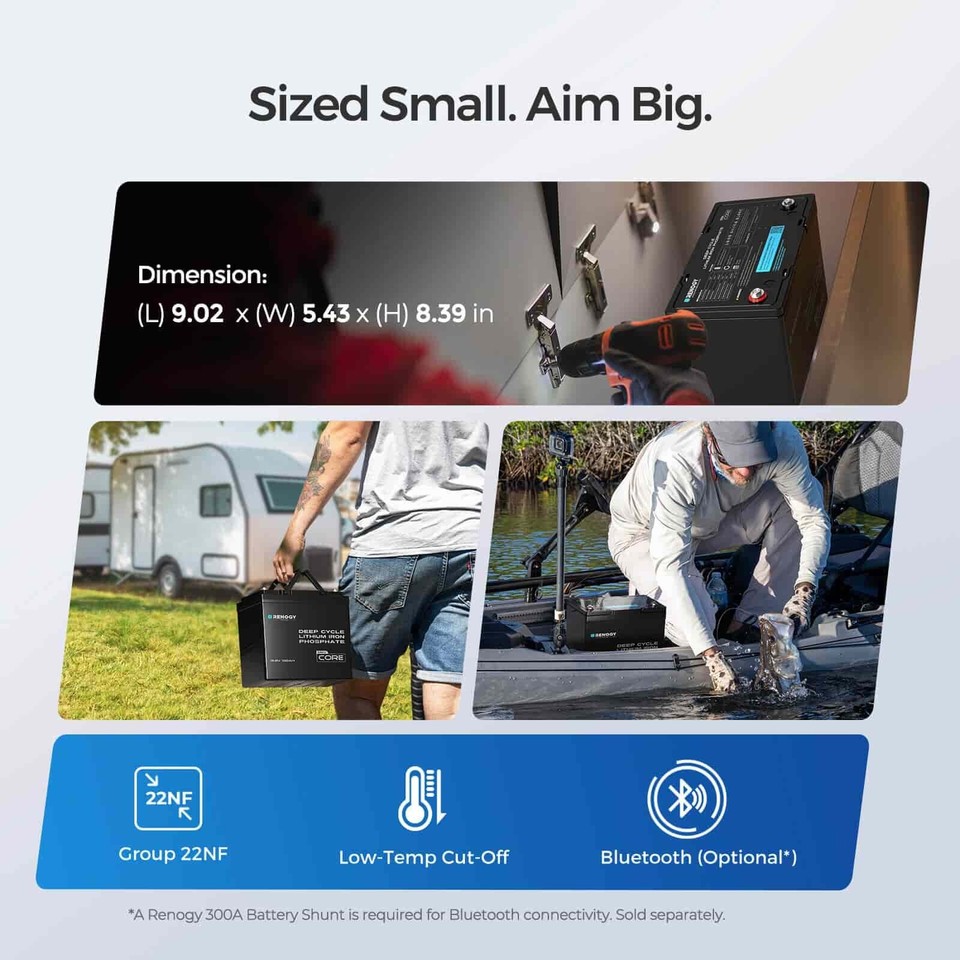 Renogy 12V 100Ah 200Ah 300Ah Core Mini Lithium LiFePO4 BMS Deep Cycle Battery | eBay