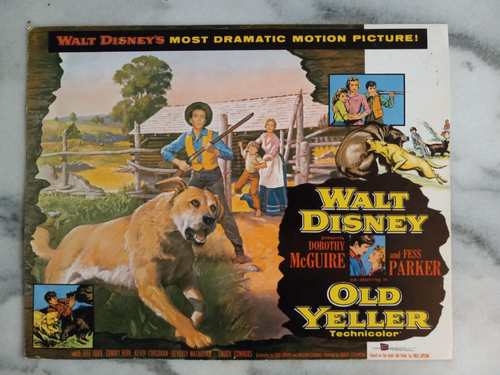 OLD YELLER (1957) Walt Disney - US 11x14 Color Title Card - Good ...