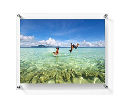 Floating Acrylic Picture Frame With Chrome Standoff Double Panel Wall ...