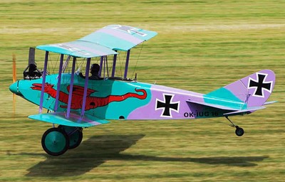 DFW C.V Reconnaissance Airplane Model Replica Small Free Shipping | eBay