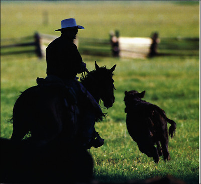 2000 Vintage Print Northern California Cowboy Vaquero Susanville Five ...