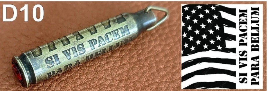 ENGRAVED .223 BULLET CASING /SOME WITH TIP. PATRIOTIC AND FUN DESIGN ...