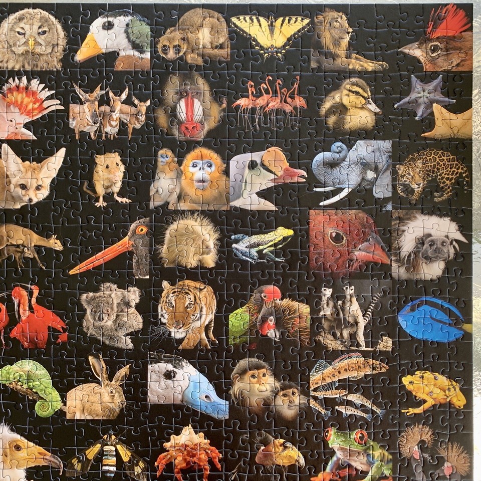 Ravensburger Jigsaw Puzzle 99 Amazing Animals 1000 Pc Natl Geographic ...