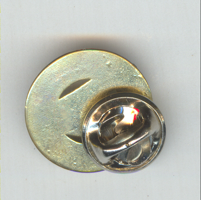 AOM French Defunct Airlines LOGO Badge | eBay