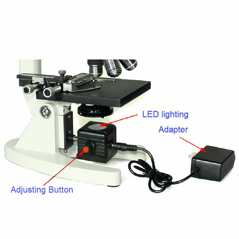 Microscope Bottom External Lamp Brightness Adjustable Microscope Light ...