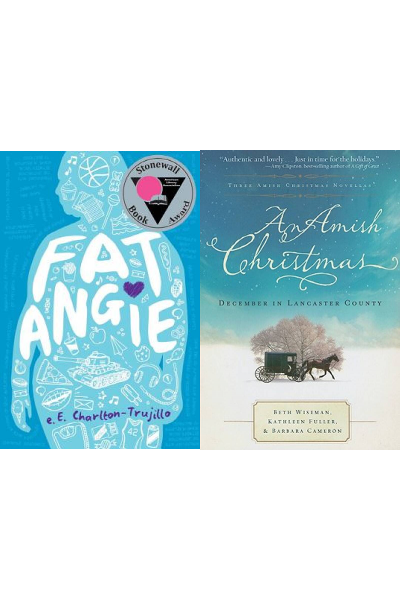 Fat Angie Series All 2 Books in Paperback 9781595548566| eBay