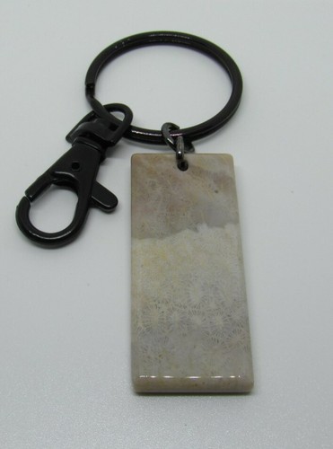 Yellow Ammonite Fossil Oblong Key Ring - Inv A003 | eBay