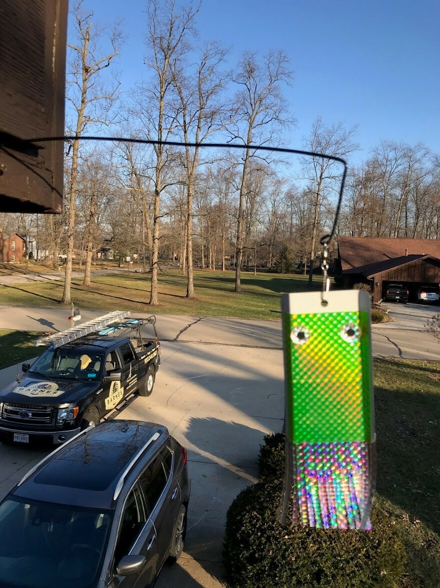 Woodpecker Deterrent | Flicker Repellent | Scare Woodpeckers off House ...