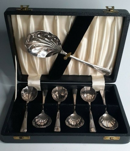 Vintage 6 EPNS Silver Plated Dessert Spoons 1 Serving Spoon | eBay
